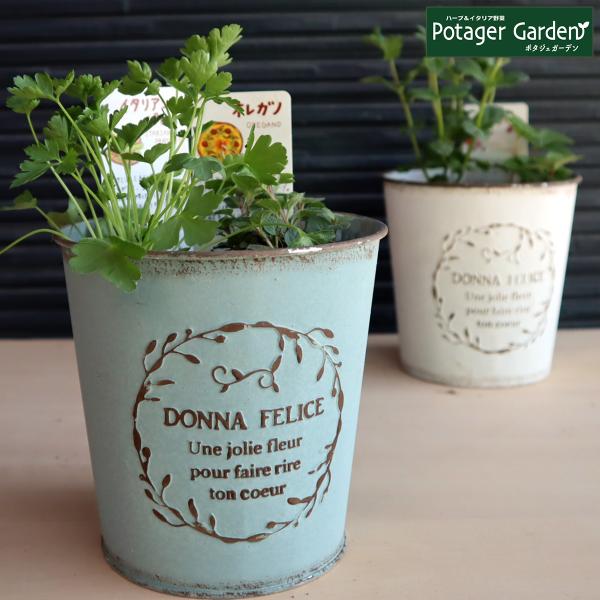 ハーブ 寄せ植えができるハーブ 栽培キットです。ハーブ苗 1個、プランター、土、肥料のハーブ 苗 セットを送料無料でお届けします。ハーブガーデン、ハーブティー、ハーブ料理、ガーデニングを趣味として、観葉植物として、ハーブ専門店 苗をお楽しみ...