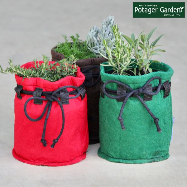 ハーブ 寄せ植えができるハーブ 栽培キットです。ハーブ苗 4個、プランター、土、肥料のハーブ 苗 セットを送料無料でお届けします。ハーブガーデン、ハーブティー、ハーブ料理、ガーデニングを趣味として、観葉植物として、ハーブ専門店 苗をお楽しみ...