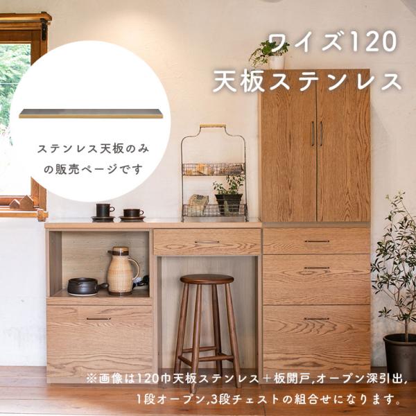 ■ワイズ120 天板ステンレス■商品サイズ幅120×奥行40×高さ3cm■材質ステンレス■商品詳細日本製完成品(収納本体と天板の組合せはお客様作業)【設置について】天板と収納、収納同士の設置は必ずネジで連結してください。引き出しがある箇所は...