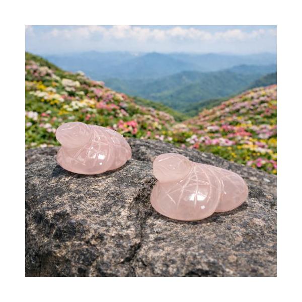 60年に1度の丙午は火の勢いが最高潮に達する転換の年 そしてヘビは脱皮による再生と弁財天の使いとして金運を呼ぶ象徴 この組み合わせは相性が良く 動く年の流れを良い方向へ整えるといわれます本物天然石 蛇彫刻 ローズクォーツローズクォーツは愛情...