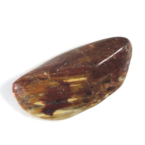 ◆重さ：約 27 g◆大きさ：約 55ｘ28ｘ15 mm◇マダガスカル産□中生代三畳紀〜ジュラ期ツヤツヤに磨かれています。※現品撮影です。写真の商品をお届けします。◎この商品はメール便送料無料商品です。珪化木（けいかぼく）は、地質時代の木が...