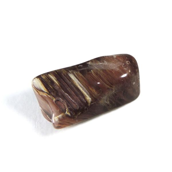 ◆重さ：約 20 g◆大きさ：約 38ｘ20ｘ17 mm◇マダガスカル産□中生代三畳紀〜ジュラ期ツヤツヤに磨かれています。※現品撮影です。写真の商品をお届けします。◎この商品はメール便送料無料商品です。珪化木（けいかぼく）は、地質時代の木が...