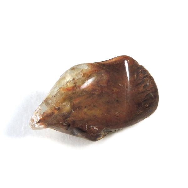 ◆重さ：約 18 g◆大きさ：約 43ｘ24ｘ12 mm◇マダガスカル産□中生代三畳紀〜ジュラ期ツヤツヤに磨かれています。※現品撮影です。写真の商品をお届けします。◎この商品はメール便送料無料商品です。珪化木（けいかぼく）は、地質時代の木が...