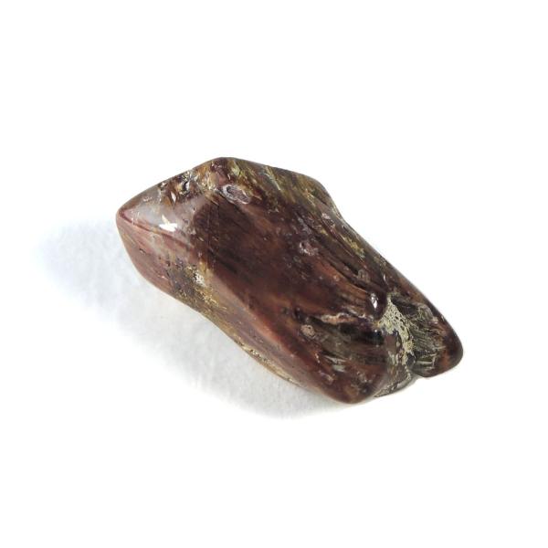 ◆重さ：約 17 g◆大きさ：約 42ｘ20ｘ18 mm◇マダガスカル産□中生代三畳紀〜ジュラ期ツヤツヤに磨かれています。※現品撮影です。写真の商品をお届けします。◎この商品はメール便送料無料商品です。珪化木（けいかぼく）は、地質時代の木が...