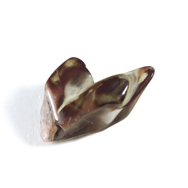 ◆重さ：約 15 g◆大きさ：約 42ｘ26ｘ16 mm◇マダガスカル産□中生代三畳紀〜ジュラ期ツヤツヤに磨かれています。※現品撮影です。写真の商品をお届けします。◎この商品はメール便送料無料商品です。珪化木（けいかぼく）は、地質時代の木が...