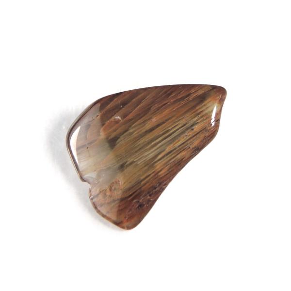 ◆重さ：約 11 g◆大きさ：約 38ｘ28ｘ11 mm◇マダガスカル産□中生代三畳紀〜ジュラ期ツヤツヤに磨かれています。※現品撮影です。写真の商品をお届けします。◎この商品はメール便送料無料商品です。珪化木（けいかぼく）は、地質時代の木が...