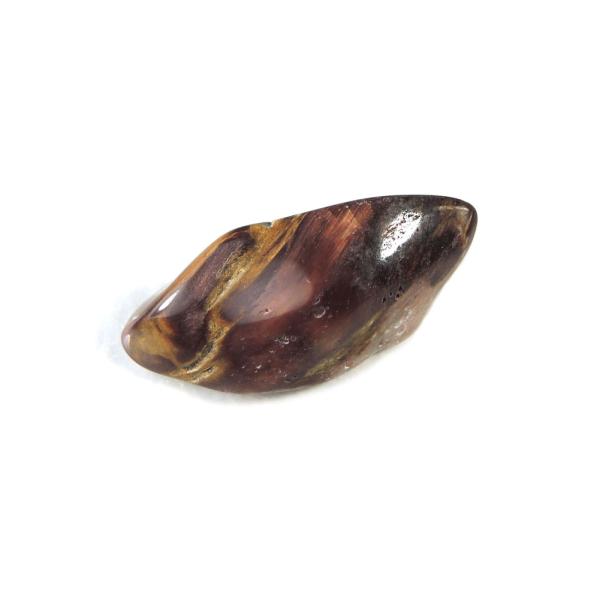 ◆重さ：約 11 g◆大きさ：約 37ｘ17ｘ16 mm◇マダガスカル産□中生代三畳紀〜ジュラ期ツヤツヤに磨かれています。※現品撮影です。写真の商品をお届けします。◎この商品はメール便送料無料商品です。珪化木（けいかぼく）は、地質時代の木が...