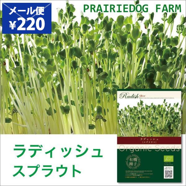 ∞ おうちでベジ ∞キッチンで自分で育てるスプラウトの種。ピリッとした風味のスプラウト。ピリッとした風味が特徴です。タネが比較的大きく、初心者でも育てやすいスプラウトです。ビタミンＡ、Ｂ１、Ｃ、鉄分、リンが豊富な健康野菜。サラダやうどん、刺...