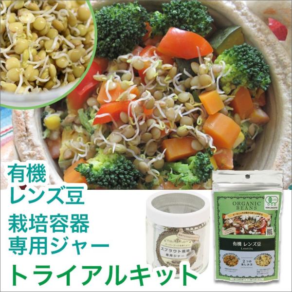 ∞ おうちでベジ ∞キッチンで自分で育てるスプラウトの栽培容器と世界中でポピュラーなレンズ豆のセット。水を替えるだけ！キッチンやお部屋の省スペースで栽培できるスプラウト。手軽にフレッシュな野菜がとれるのはうれしいですね。レンズ豆はほんのりス...