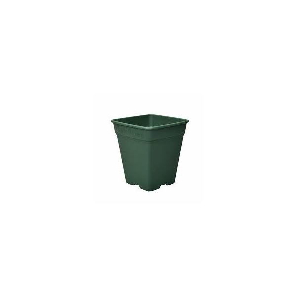 アップルウェアー ロゼアスクエア330型 グリーン 園芸用品 ガーデニング プラ鉢 プランター プラスチック スリット付 深型ロゼアスクエア330型 グリーン●扱いやすい深型タイプのプラ鉢です。【 スリット付 】水はけ・通気性の良いスリット...