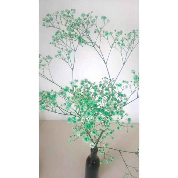 リーフ液を検討中のあなたにご案内(^^)《新製品》【COOL A*RT 3Dプレミアム】↑↑一度お試しください(^o^)(商品ページをご覧ください☆)ハーバリウムオイルの進化形を作りました！オイルではなく、固まるタイプなので、"瓶ナシ"で、...