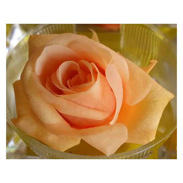 染色液を検討中のあなたにご案内(^^)《新製品》【COOL A*RT 3Dプレミアム】↑↑一度お試しください(^o^)(商品ページをご覧ください☆)あなたのハーバリウム作品の自由さが増す！オイルではなく、固まるタイプなので、"瓶ナシ"で、作...