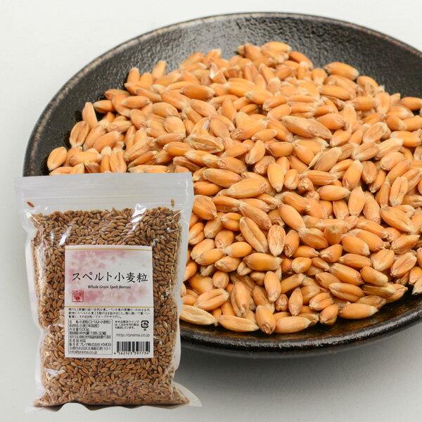 製粉したてのフレッシュさ、古代小麦 スペルト小麦粒海外で有機栽培されたスペルト小麦を脱穀し、粒のまま袋詰めしました。米と混ぜて炊飯したり、またそのまま炊いてサラダやスープの具材にしたりと、香ばしいナッツのような風味のする使い勝手の良い全粒穀...
