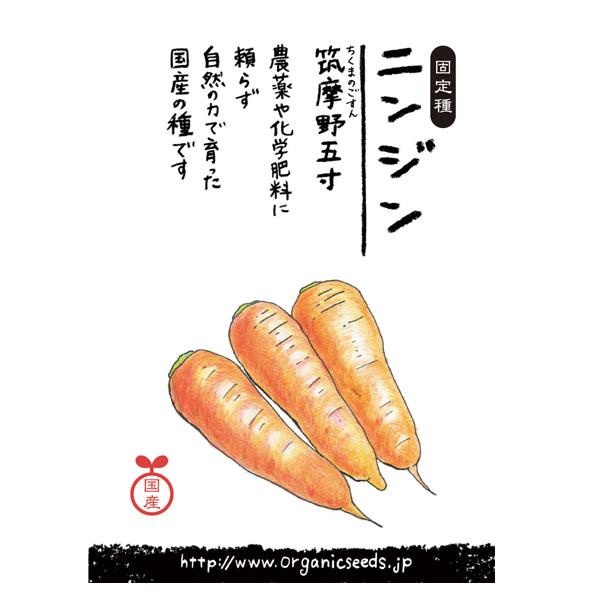草勢が強く少肥で栽培できる五寸ニンジンです。 草姿は開帳性で大葉で痩せ地でも根の太りが 良く、根部はやや肩が張る円筒型で甘みがあります。夏蒔きして晩秋から冬どりに適します。春蒔きは、とう立ち（花が咲く）しやすいので初心者には夏〜秋蒔きがおす...