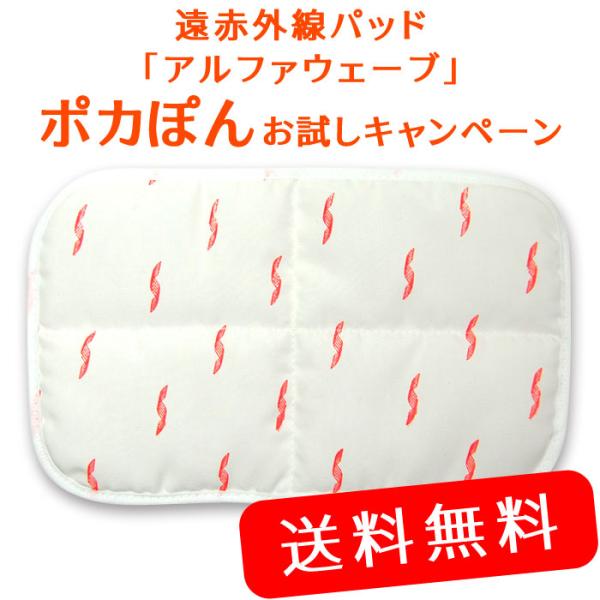 うすいので目立たず、カイロサイズでとっても便利腰やおなか、お尻に入れて使用してみてください。どれほど暖かいかを実感できます。 ■カラー：アイボリー■サイズ：約13cm×21cm■材質：表地＝指定外繊維（リヨセル※）100％遠赤外線加工不織布...