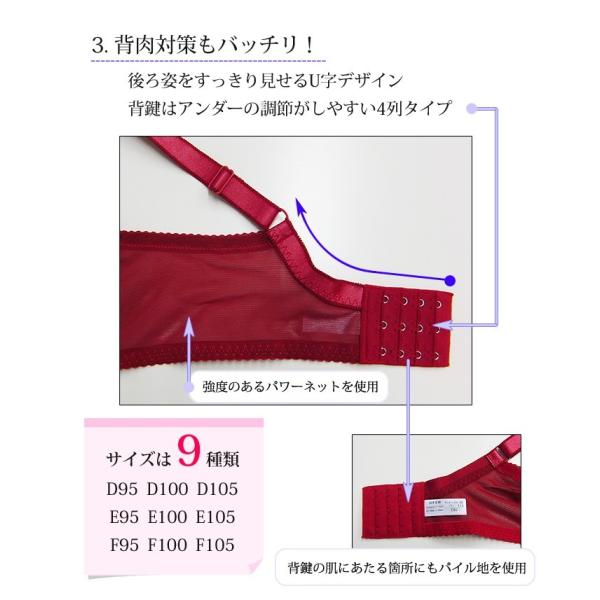 ブラ単品 アガスティア ( ブラジャー D95 D100 D105 E95 E100 E105 F95 F100 F105 レッド グリーン ブラック 黒 赤 緑 下着 通販 ) :nb16a ...