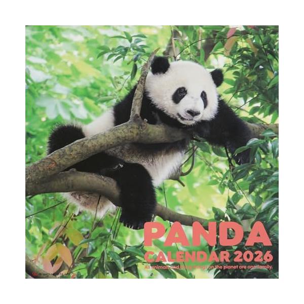 ホワイト/-/C-1668-PA・パッケージ個数:1・豊かな自然の中でゆったりと暮らすパンダたちのベストショットが満載のカレンダー。・中とじLPサイズの壁掛けカレンダー・１４枚つづり・日曜始まり・書き込みタイプ・森林認証紙使用