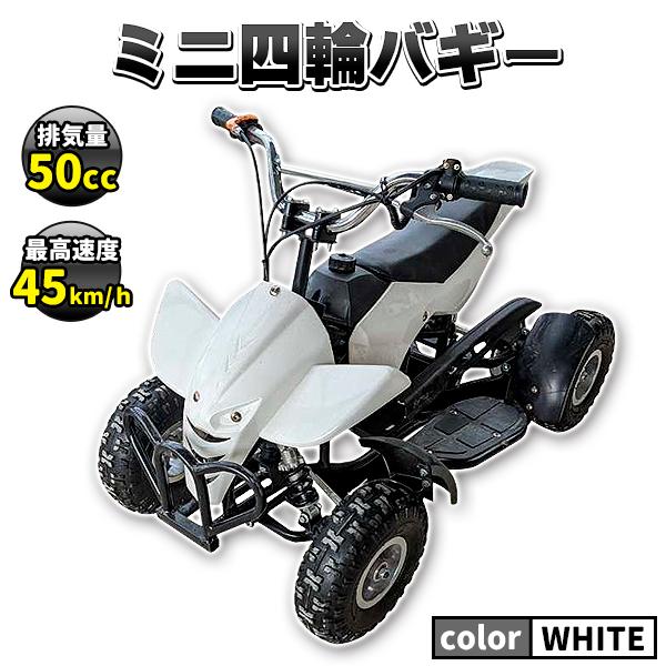 50ccエンジン搭載！最高速度45km/h！ミニ4輪バギー本格的なバギーの音が出るエンジンタイプ最高速度45km/hで、爽快にレーシング！敷地内での使用が可能です。※公道での走行は出来ません。オブジェとしても最適ガレージに置いてあるだけでカ...