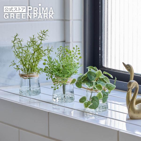 キーワード：ウォーター プミラ アスパラ アジアンタム 瓶 冬 リアル フェイクグリーン 観葉植物 造花 アーティフィシャルフラワー 人工 高品質 インテリア ディスプレイ 装飾 ギフト プレゼント 贈り物 祝い 誕生日 バースデー 記念日...