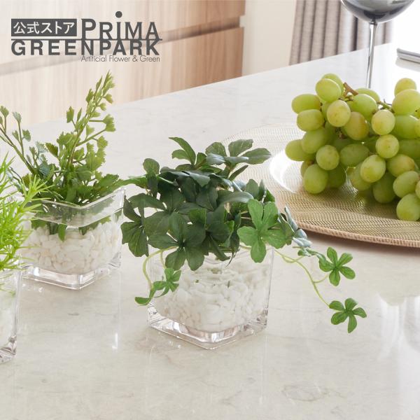 キーワード：シュガーバイン ミニグリーン ウォーター 小さめ 可愛い つる フェイク リアル フェイクグリーン 観葉植物 造花 アーティフィシャルフラワー 人工 高品質 インテリア ディスプレイ 装飾 ギフト プレゼント 贈り物 祝い 誕生...