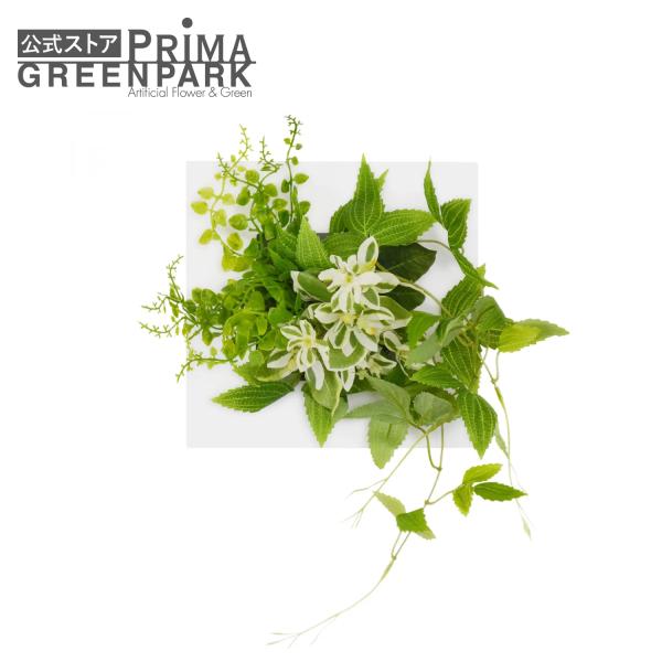 キーワード：テッセン シダ フレーム スタンド アート 額 吊り下げ フェイク リアル フェイクグリーン 観葉植物 造花 アーティフィシャルフラワー 人工 高品質 インテリア ディスプレイ 装飾 ギフト プレゼント 贈り物 祝い 誕生日 バ...