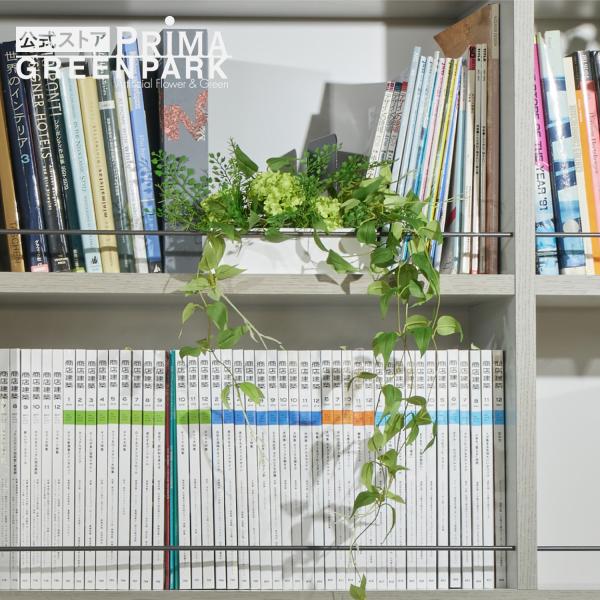キーワード：リキュウソウ 棚上 ツル 夏 リアル フェイクグリーン 観葉植物 造花 アーティフィシャルフラワー 人工 高品質 インテリア ディスプレイ 装飾 ギフト プレゼント 贈り物 祝い 誕生日 バースデー 記念日 母の日 父の日 結婚...