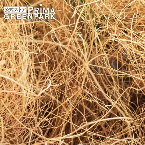 キーワード：ココファイバー ヤシ 資材 飾り 単品 ハンドメイド リアル フェイクグリーン 観葉植物 造花 アーティフィシャルフラワー 人工 高品質 インテリア ディスプレイ 装飾 ギフト プレゼント 贈り物 祝い 誕生日 バースデー 記念...