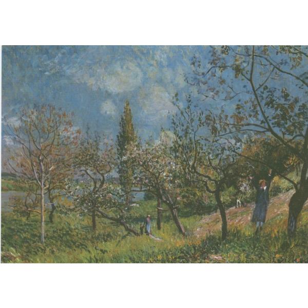 14.8x 10.5cmAlfred Sisley 1839-1898Der Baumgarten,1881輸入国： ドイツ