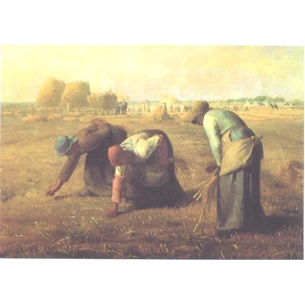 14.8 x 10.5 cm Jean-Francois Millet (1814-1875) Des glaneuses 落ち穂拾い輸入国：フランス