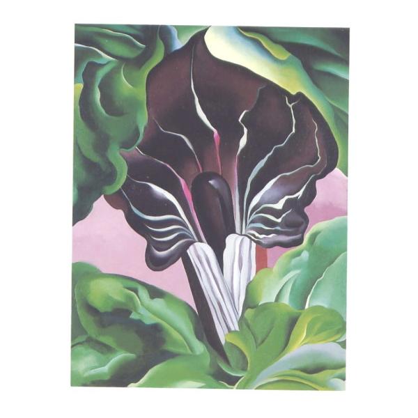 14.8 x 10.5 cmGeorgia O'Keeffe (1887-1986)Jack in the Pulpit No.II, 1930輸入国：スイス