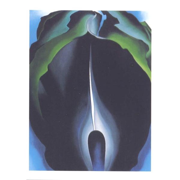 14.8 x 10.5 cmGeorgia O'Keeffe (1887-1986)Jack in the Pulpit No.IV, 1930輸入国：スイス