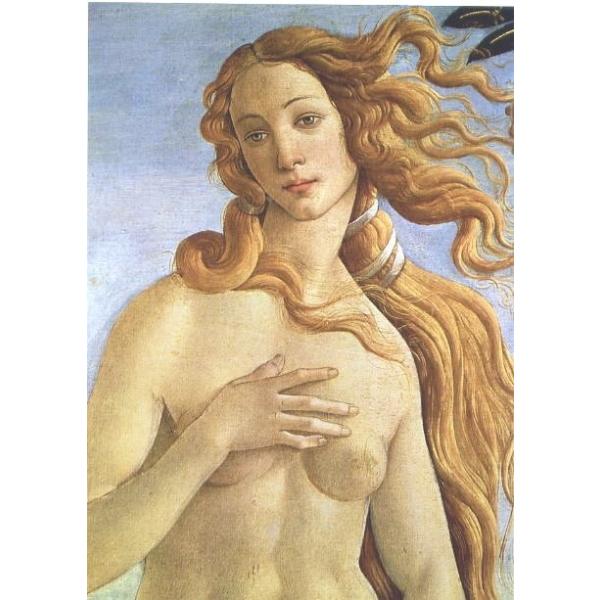 14.8x 10.5cm Sandro Botticelli, 1444(45)-1510 Die Geburt der Venus (detail),1485ビーナス誕生（部分） 輸入国： ドイツ