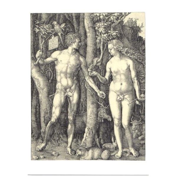 14.8 x 10.5 cm Albrecht Durer (1471-1528) Adam and Eva, The Fall of Man, 1504輸入国：スイス