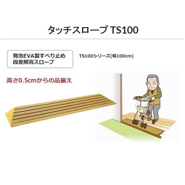 ●サイズ/高さ0.5cm×奥行6.0cm●幅/100cm●勾配度数/3度