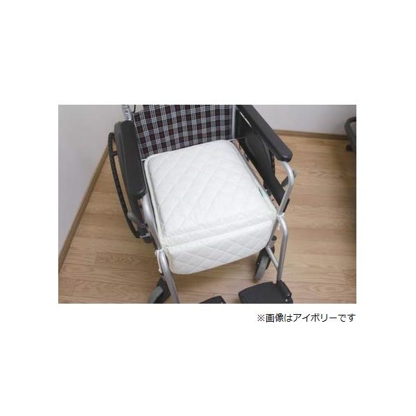 ・優れた10種類の消臭機能。・汗臭、加齢臭はもちろん、排泄臭、タバコ他などの気になる臭いを劇的消臭！・50回洗濯しても95％以上の消臭率！・日本認知症予防協会推奨商品。サイズ／幅40cm×長さ62cm素材／側生地：綿100％（消臭機能生地）...