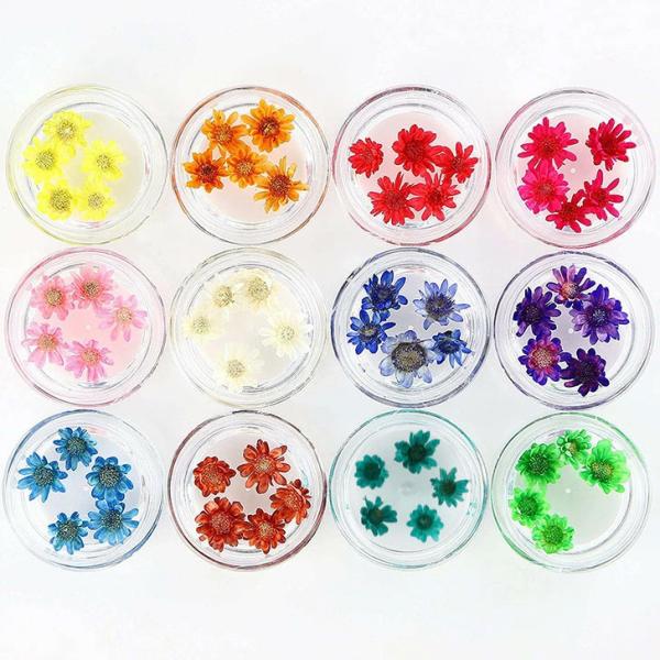 レジン封入、ガラスドーム、アロマワックスサシェなど、ハンドメイドアクセサリー用の天然素材です。封入すると色がくすんで暗く見える場合がありますので、素材は明るめに着色しています。なるべく形のバランスが良いものを選別して、各5個ずつセットしてい...