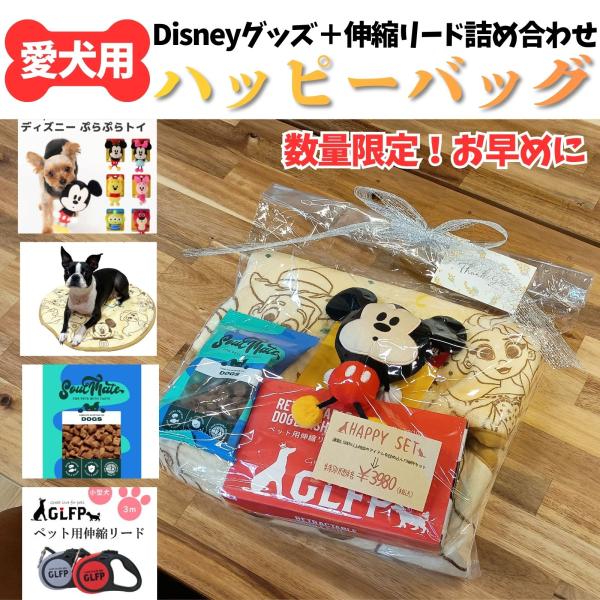 日頃の感謝を込めて、通常6,500円以上のアイテムを詰め込みました♪●Disney　ぷらぷらトイ●Disney　ブランケット●SoulMate　ドライフード●GLFP　伸縮リード