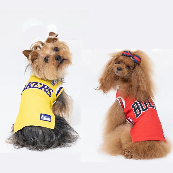 <b>NBA公式ライセンス ペットアイテムが新登場！NBAファンライフをさらに充実させるためのグッズをご用意しております。NBAのロゴやチームカラーのおしゃれなデザインは、愛犬愛猫がくつろぎながらチームの応援に参加できる特別な空...