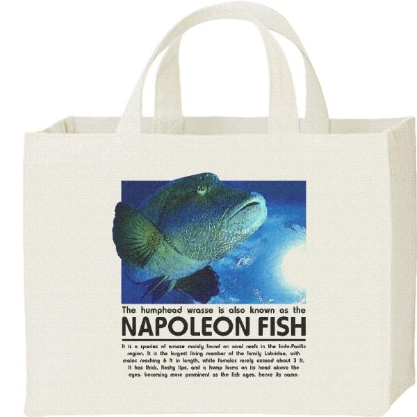 Humphead wrasse　メガネモチノウオ（通称：ナポレオンフィッシュ）厚手のコットン（キャンパス地）素材の手提げBAGです。 四角く角張ったデザインで、学校や職場で教科書や資料を入れるのにも適しています。 (バック/トートバック/キ...