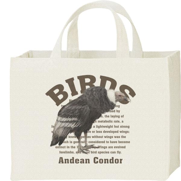 鳥類のシリーズです。南米コンドル、アンデスコンドル、こんどる、Andean condor厚手のコットン（キャンパス地）素材の手提げBAGです。四角く角張ったデザインで、学校や職場で教科書や資料を入れるのにも適しています。(バック/トートバッ...