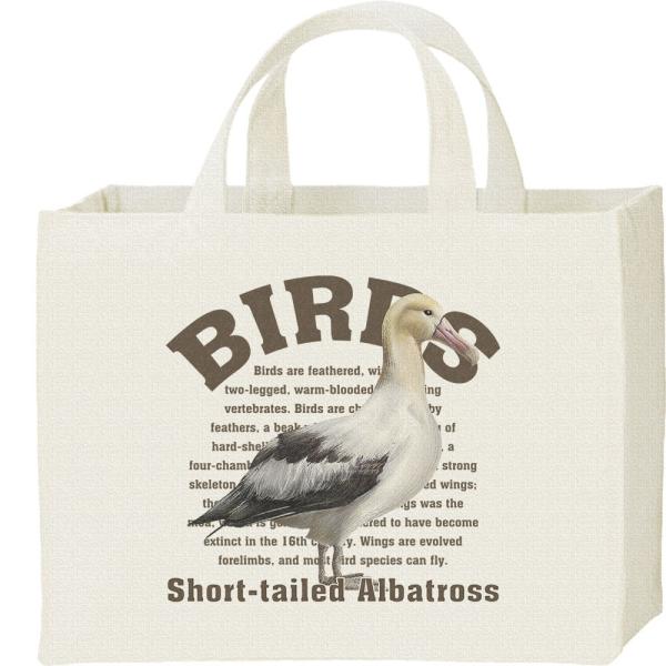 鳥類のシリーズです。信天翁、阿房鳥、阿呆鳥、あほうどり、Short-tailed albatross厚手のコットン（キャンパス地）素材の手提げBAGです。四角く角張ったデザインで、学校や職場で教科書や資料を入れるのにも適しています。(バック...