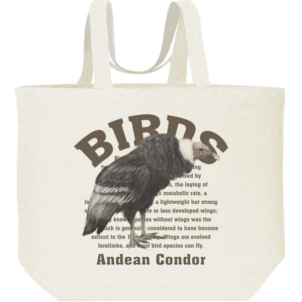 鳥類のシリーズです。南米コンドル、アンデスコンドル、こんどる、Andean condor厚手のコットン（キャンパス地）素材の手提げBAGです。大容量で、日々のお買い物のエコ バッグ（ECOバッグ）にも適しています。(バック/トートバック/キ...