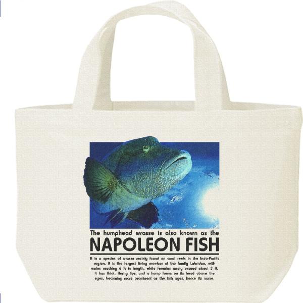 Humphead wrasse　メガネモチノウオ（通称：ナポレオンフィッシュ）厚手のコットン（キャンパス地）素材の手提げBAGです。お弁当入れや小物入れ、お散歩バッグなどに。 (バック/トートバック/キャンパスバッグ/キャンバスバック/キャ...