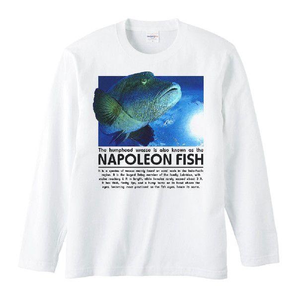 色：白、杢グレーサイズ：Ｓ、Ｍ、Ｌ、ＸＬ(２Ｌ) ※メンズ基準です。Humphead wrasse　メガネモチノウオ（通称：ナポレオンフィッシュ）コットン素材のオーソドックスな形のロングスリーブTシャツ（ロンＴ）です。 （丸首/長/そで/ソデ）