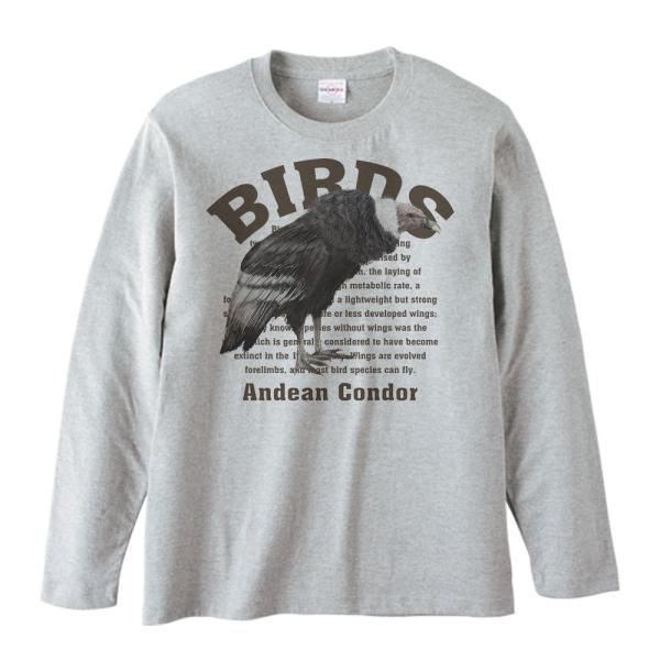 色：白、杢グレーサイズ：Ｓ、Ｍ、Ｌ、ＸＬ(２Ｌ) ※メンズ基準です。鳥類のシリーズです。南米コンドル、アンデスコンドル、こんどる、Andean condorコットン素材のオーソドックスな形のロングスリーブTシャツ（ロンＴ）です。（丸首/長/...
