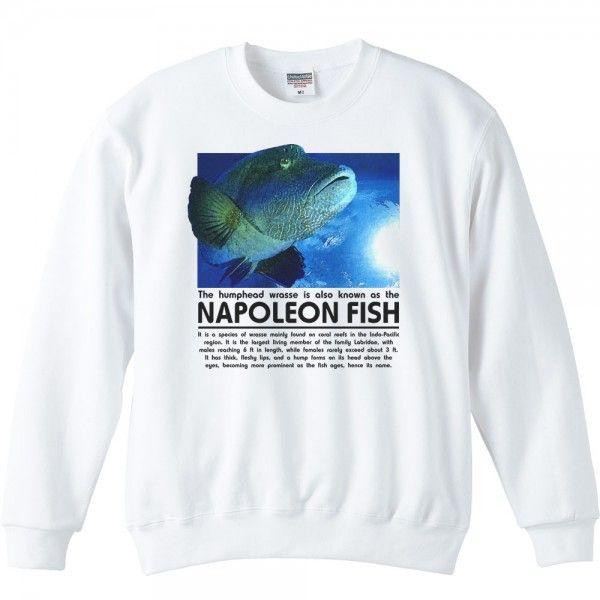 色：白、杢グレーサイズ：Ｓ、Ｍ、Ｌ、ＸＬ(２Ｌ) ※メンズ基準です。Humphead wrasse　メガネモチノウオ（通称：ナポレオンフィッシュ）シンプルなクルーネック スウェット（裏地：パイル）です。