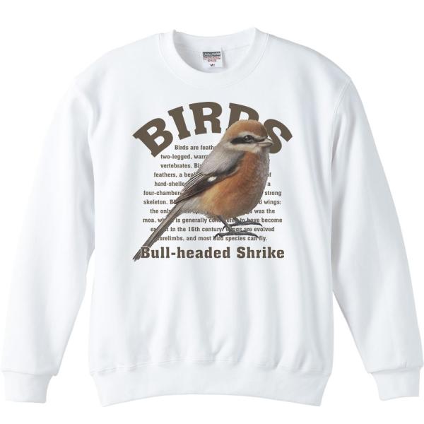 色：白、杢グレーサイズ：Ｓ、Ｍ、Ｌ、ＸＬ(２Ｌ)※メンズ基準です。鳥類のシリーズです。百舌、鵙、伯労、Bull-headed shrikeシンプルなクルーネック スウェット（裏地：パイル）です。