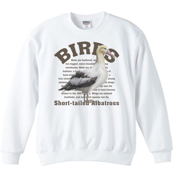 色：白、杢グレーサイズ：Ｓ、Ｍ、Ｌ、ＸＬ(２Ｌ)※メンズ基準です。鳥類のシリーズです。信天翁、阿房鳥、阿呆鳥、あほうどり、Short-tailed albatrossシンプルなクルーネック スウェット（裏地：パイル）です。