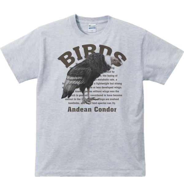 色：白、ライトベージュ、杢グレーサイズ：Ｓ、Ｍ、Ｌ、ＸＬ(２Ｌ) ※メンズ基準です。鳥類のシリーズです。南米コンドル、アンデスコンドル、こんどる、Andean condorコットン素材のオーソドックスな形の半そでTシャツです。（丸首/ソデ）