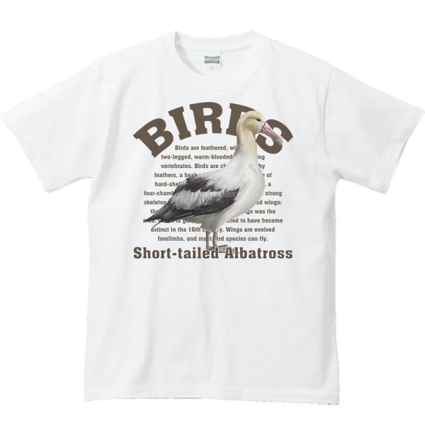 色：白、ライトベージュ、杢グレーサイズ：Ｓ、Ｍ、Ｌ、ＸＬ(２Ｌ) ※メンズ基準です。鳥類のシリーズです。信天翁、阿房鳥、阿呆鳥、あほうどり、Short-tailed albatrossコットン素材のオーソドックスな形の半そでTシャツです。（...